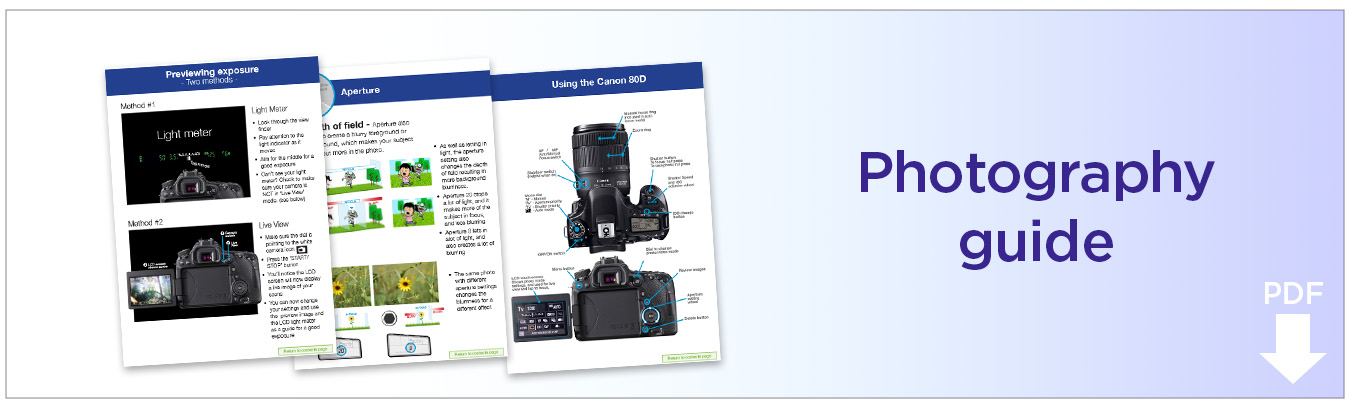 Camera help guides